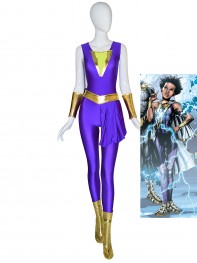 DC Comics Suerhero Costumes